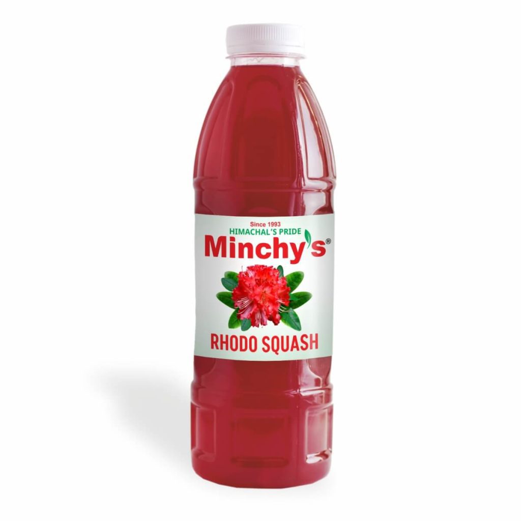 Buy Rhodo Squash (Buransh Squash) from Himachal - Minchy's